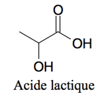 Puissance 11 L'acide lactique en biochimie